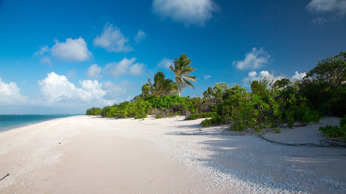 Discover 10 Celebrities Who Own Islands | Isle Keys