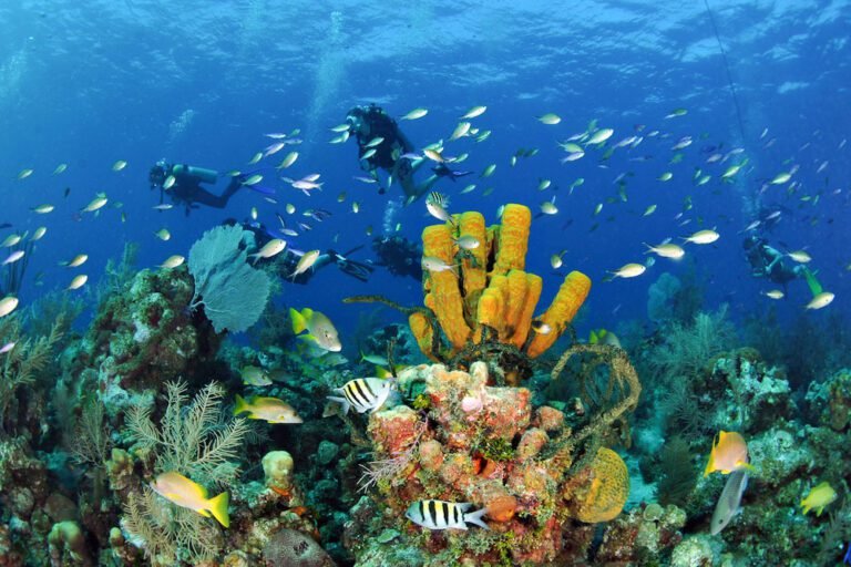 16 Best Things to Do in Cayman Islands - Isle Keys