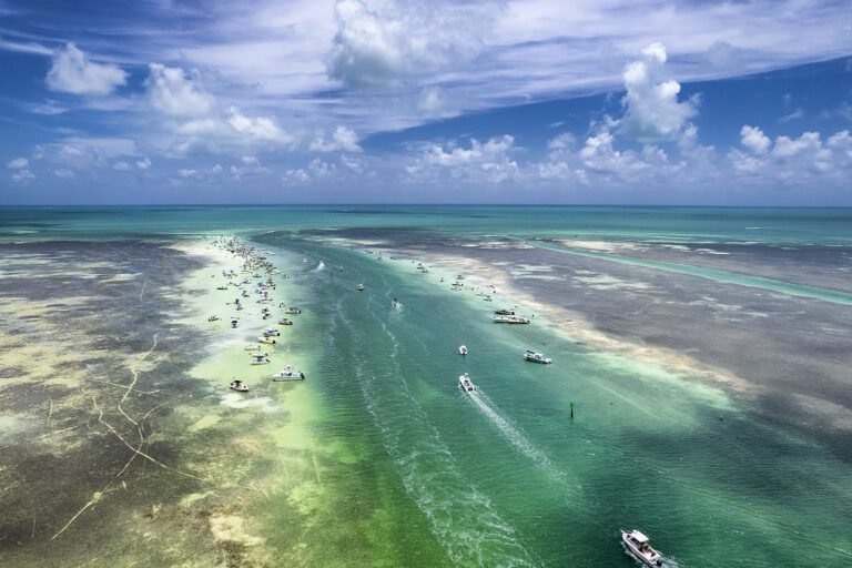 The Ultimate Guide Of Things To Do In The Islands Of Islamorada ...