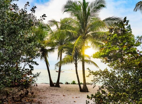 8 Key West Islands You Should Visit - Isle Keys