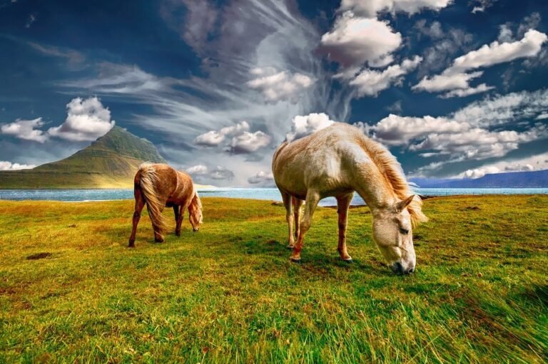 10 Most Stunning North Atlantic Islands - Isle Keys