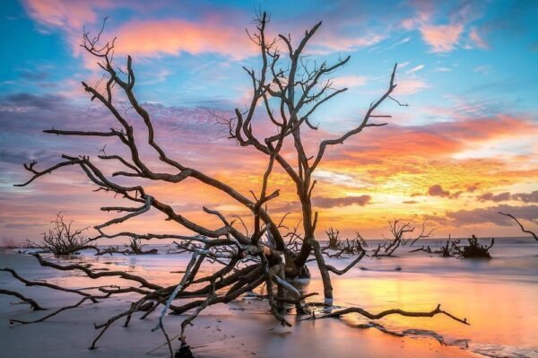 6 Reasons To Plan A Trip To St Phillips Island - Isle Keys