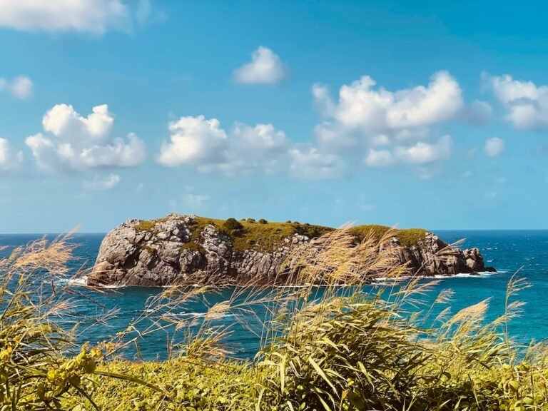A Comprehensive Guide to Visiting Fernando de Noronha in Brazil - Isle Keys