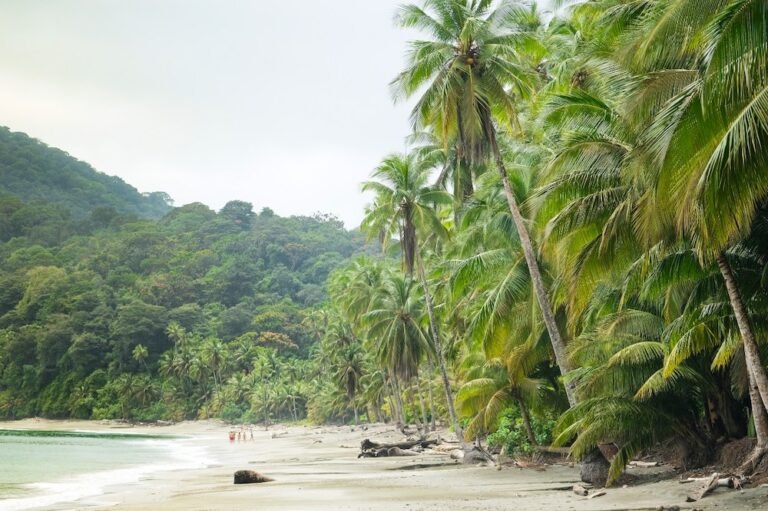 12 of the Best Colombia Islands to Visit In 2024 - Isle Keys