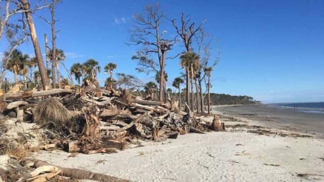 7 Things To Do In Hunting Island SC South Carolina - Isle Keys