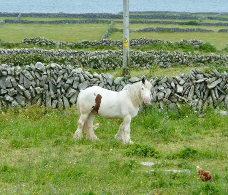 14 Things You Should Know Before Visiting Aran Islands - Isle Keys