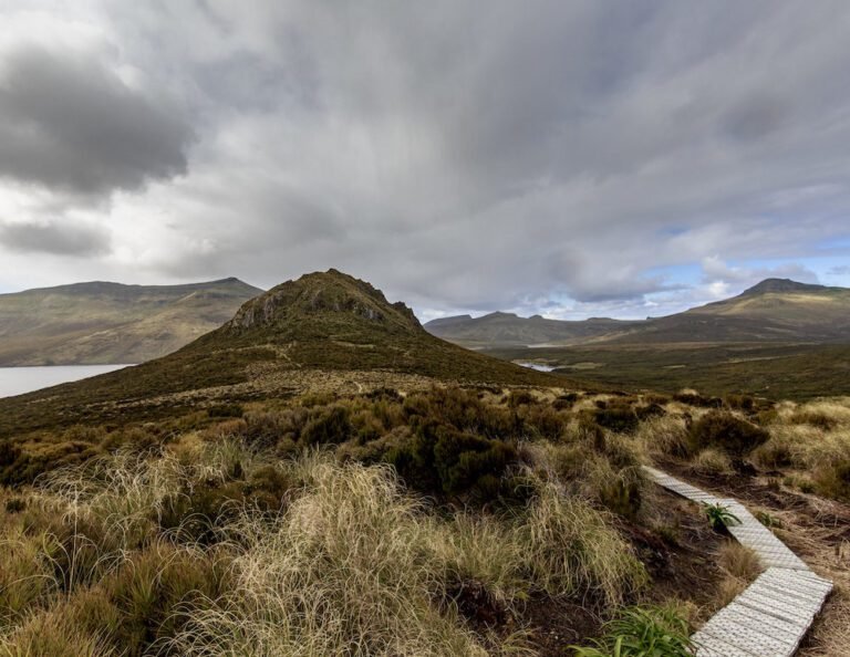 A Traveler’s Guide To New Zealand’s Campbell Island - Isle Keys