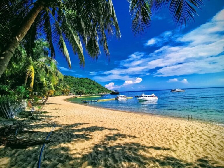 Cham Islands: A must-visit tourist destination in Hoi An - Isle Keys
