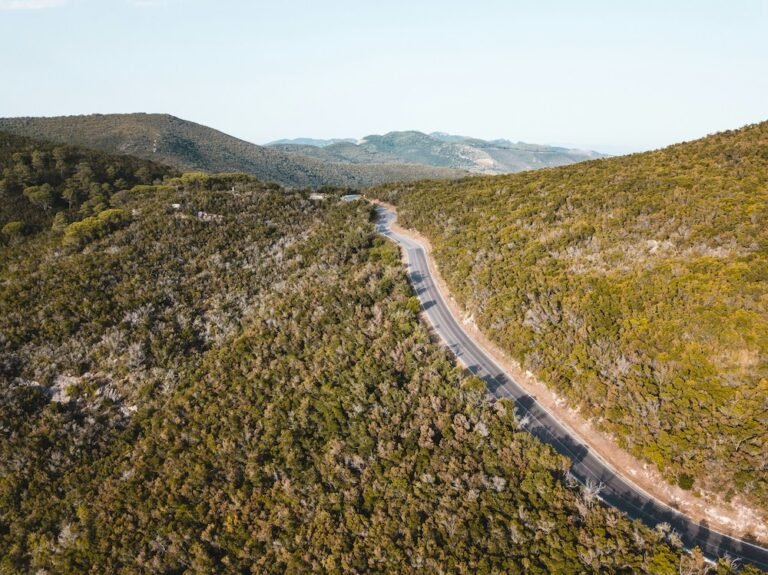 Ultimate Guide to the Stunning Island of Elba in Tuscany - Isle Keys