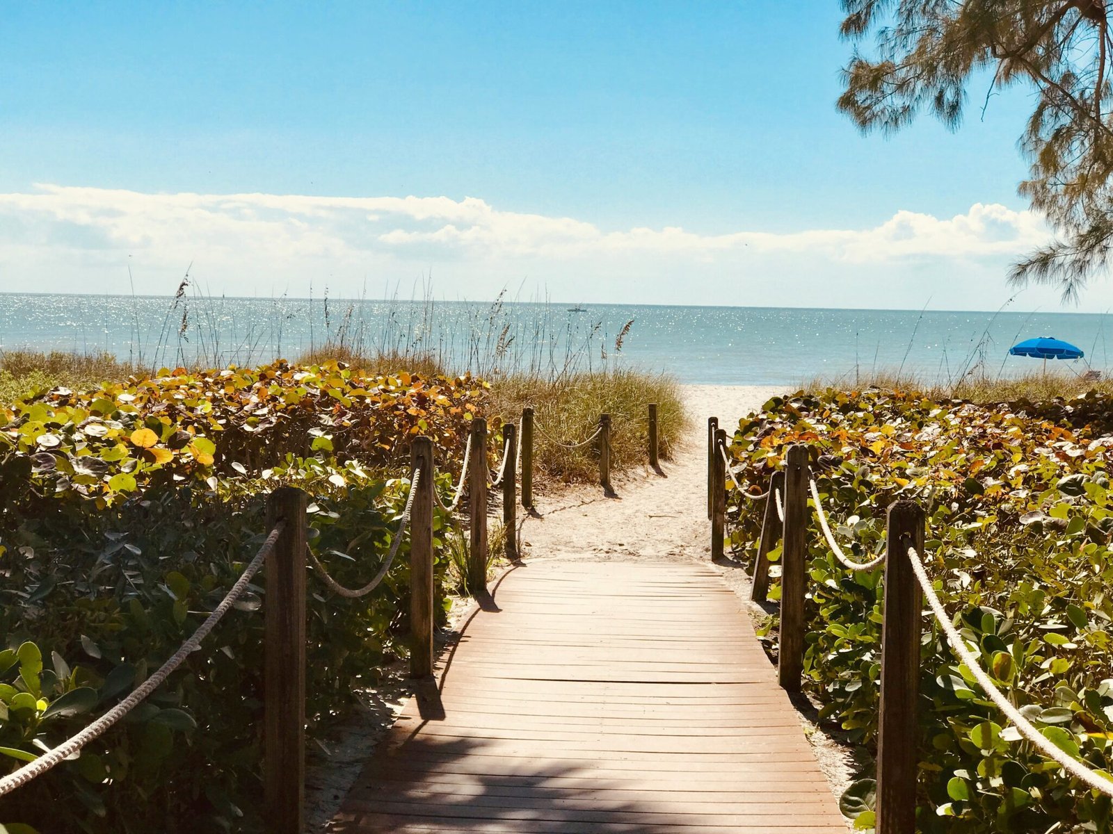 A Comprehensive Guide to Visiting Sanibel Island Near Florida - Isle Keys