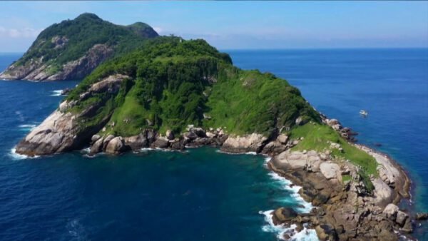 Snake Island: The World’s Most Venomous Island - Isle Keys