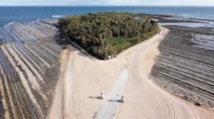 Cat Island: Your Ultimate Guide to Exploring Japan's Aoshima - Isle Keys