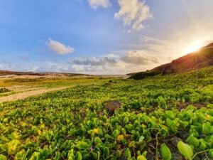 What to Know About the ABC Islands of the Caribbean - Isle Keys