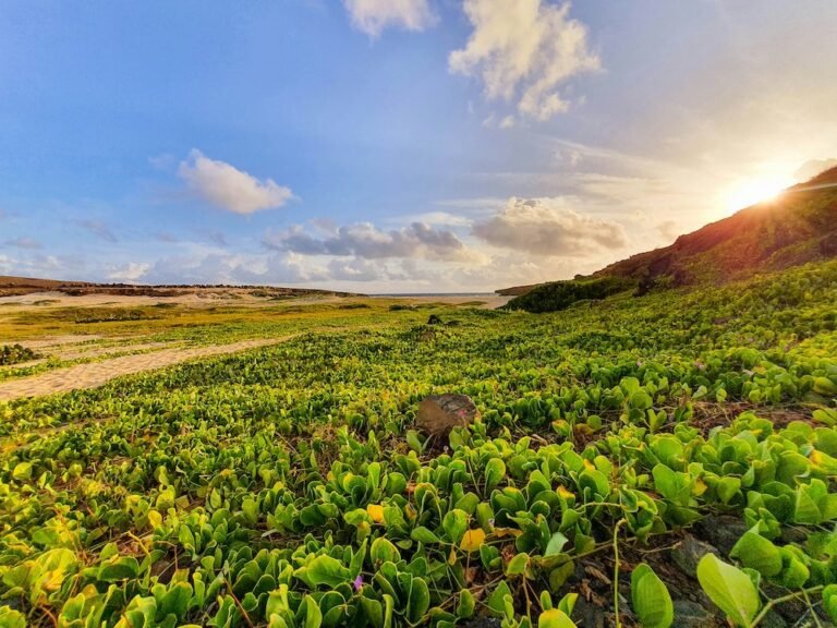 What to Know About the ABC Islands of the Caribbean - Isle Keys