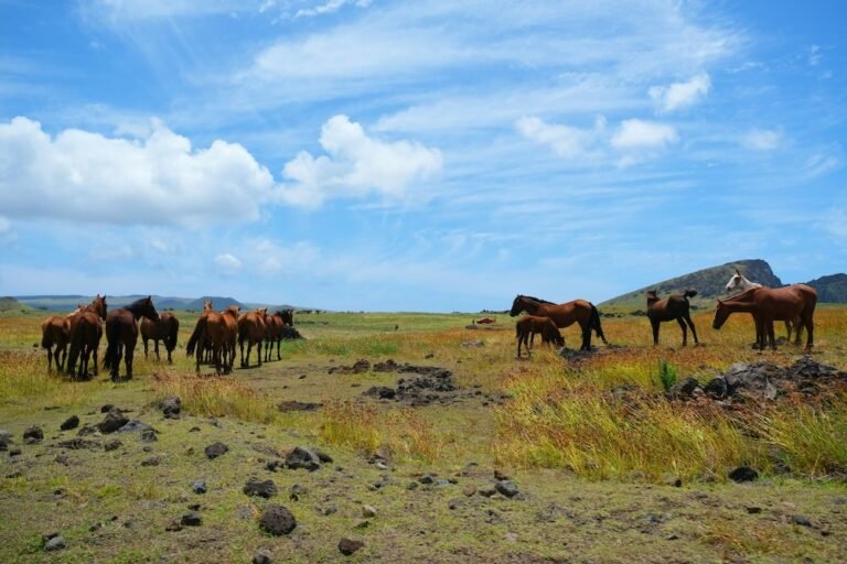 A Comprehensive Guide to Visiting Easter Island - Isle Keys