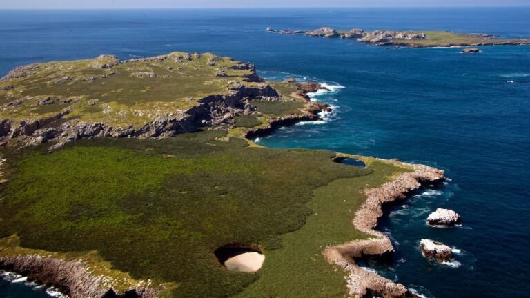 A Travel Guide to Marietas Islands (Isla Marietas) - Isle Keys