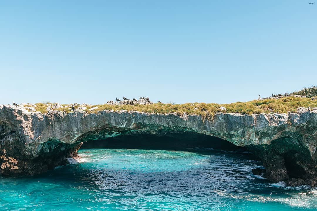 A Travel Guide to Marietas Islands (Isla Marietas) - Isle Keys