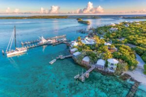 Everything to Know about Pig Beach Island in the Bahamas - Isle Keys
